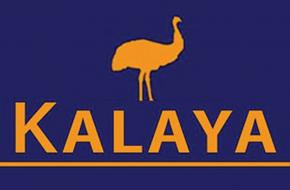 Kalaya Products - Buy Online